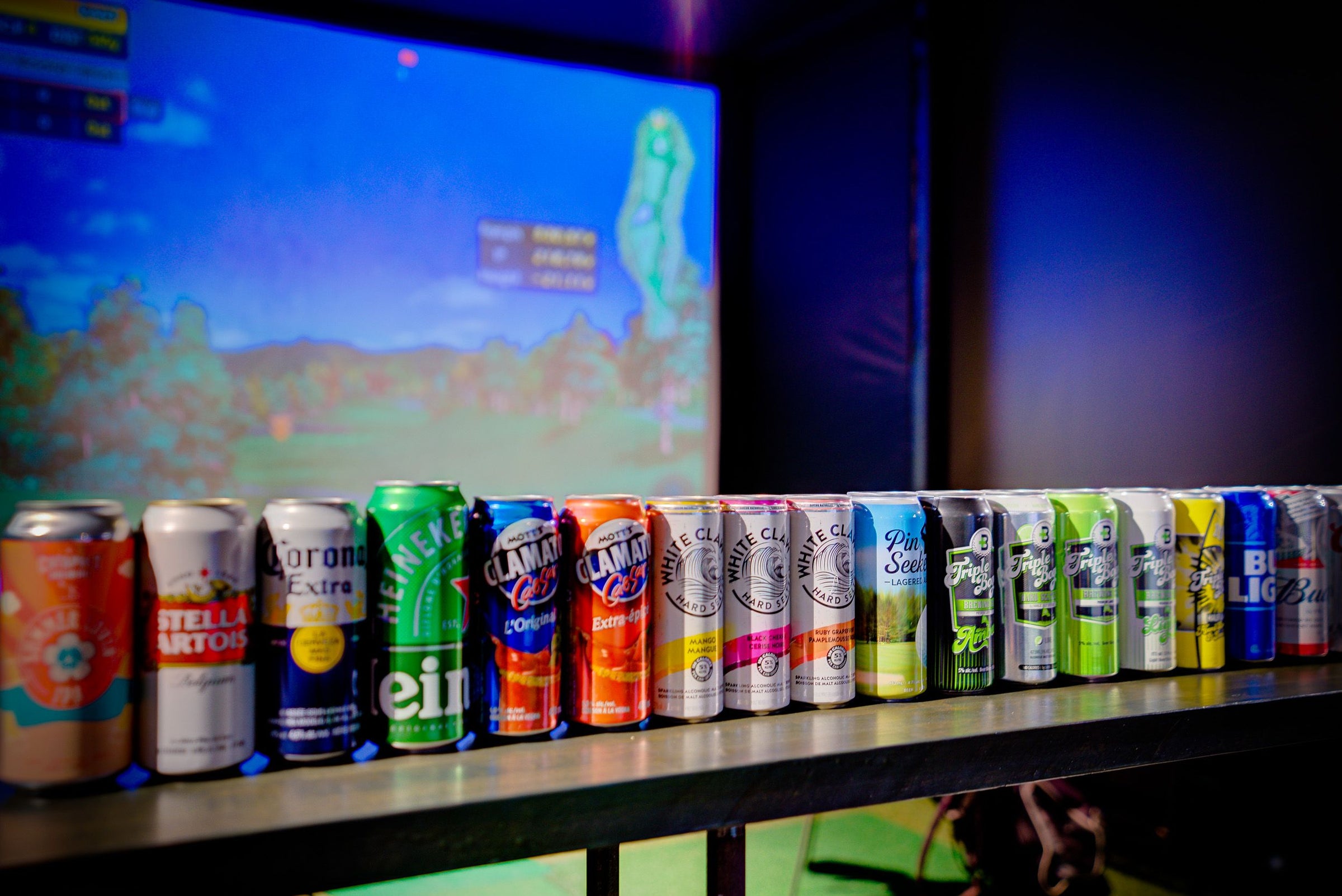 Gamer Golf: Golf Simulator In Toronto, ON | Gamer Golf